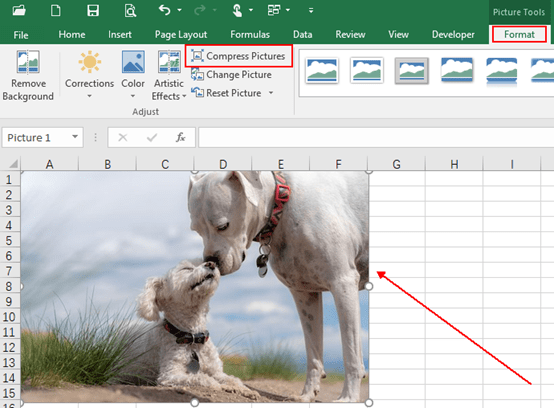 How To Reduce The File Size Of Images In Microsoft Excel My Microsoft Office Tips