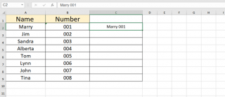 How To Use Ctrl + E In Microsoft Excel? - My Microsoft Office Tips