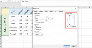 How to Change Text Direction in Excel? - My Microsoft Office Tips