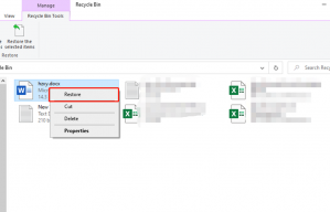 How To Recover Deleted Files from Recycle Bin After Emptied - My ...