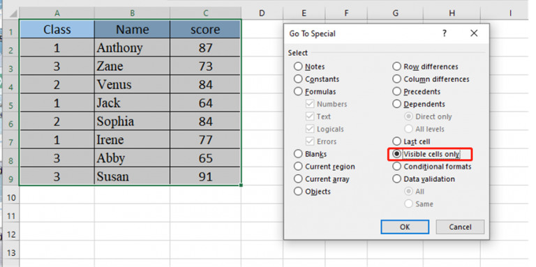 How to Copy Only Visible Cells in Excel - My Microsoft Office Tips